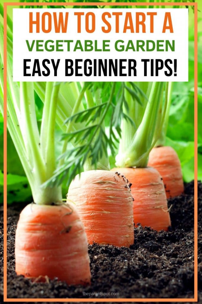 10 Things to do this Spring for a Thriving Vegetable Garden