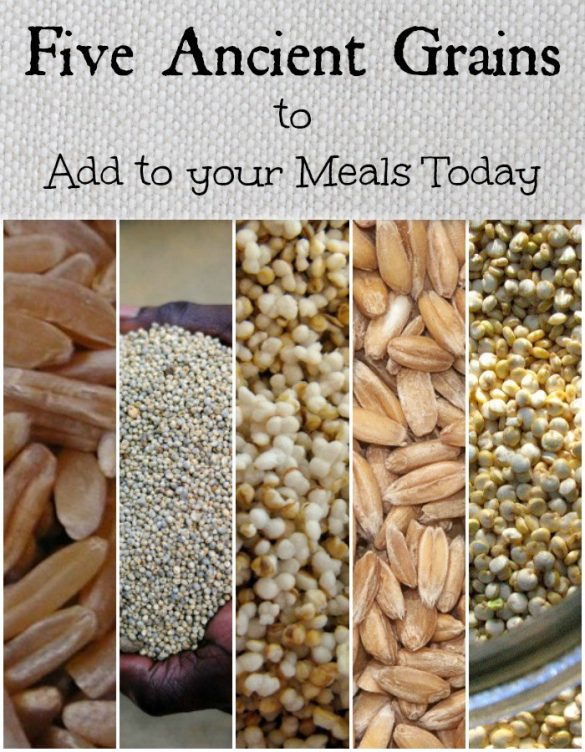 Five Ancient Grains You Can Easily Add To Your Meals Today